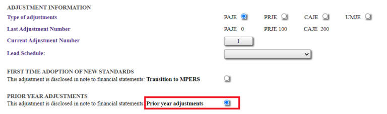 Current & Prior Year Audit Adjustment – AuditSME E-Learning Portal
